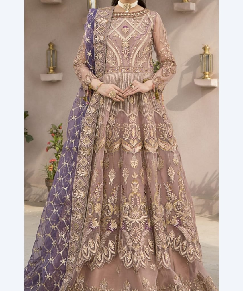 Pakistani Party Dresses - Nazon Brand Online Clothing Shop in USA
